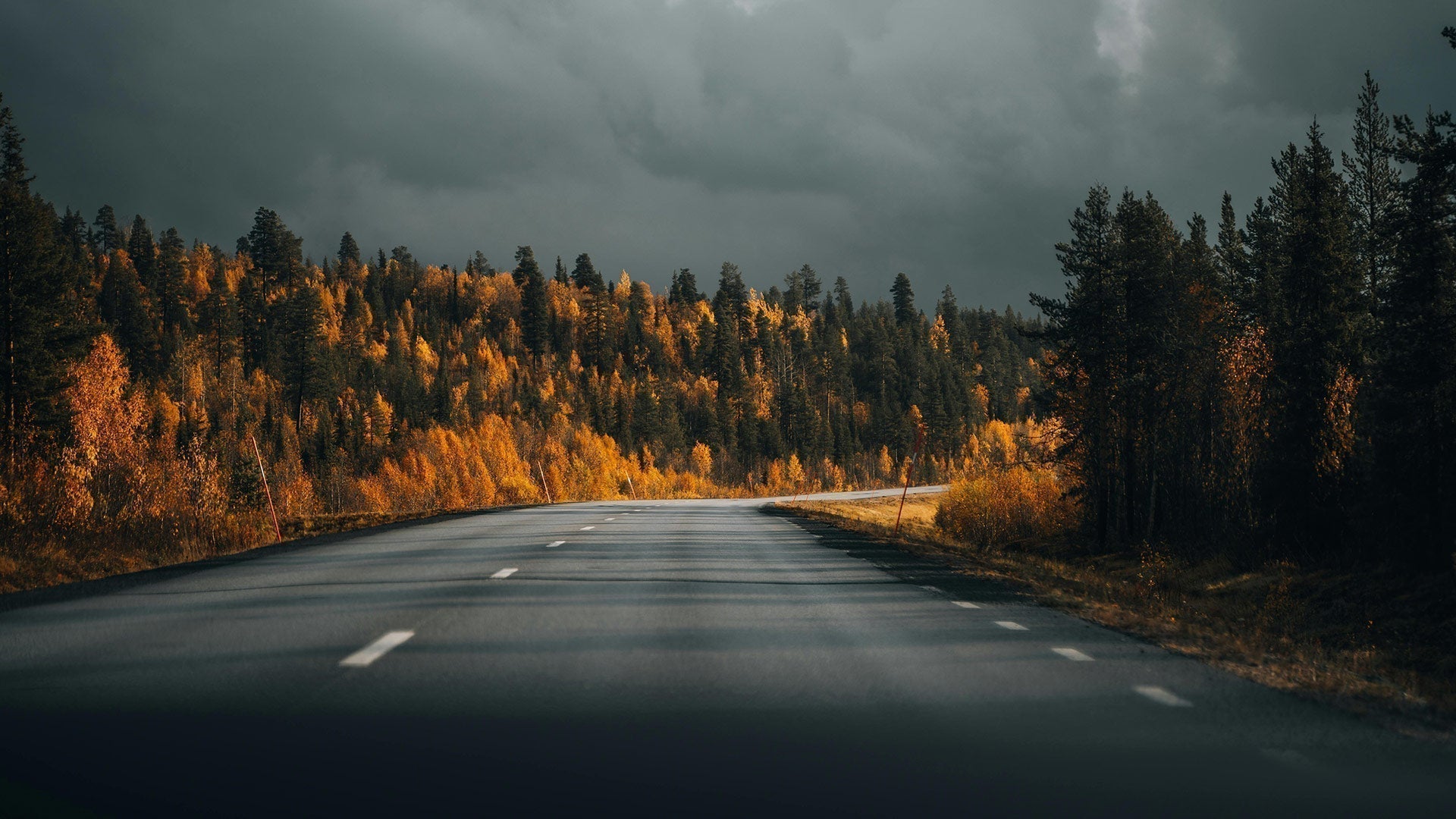 Behind The New Sound – Samen onderweg